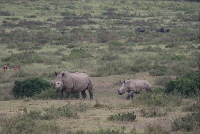 Improving cryo-conservation through tissue conditioning to optimise ...