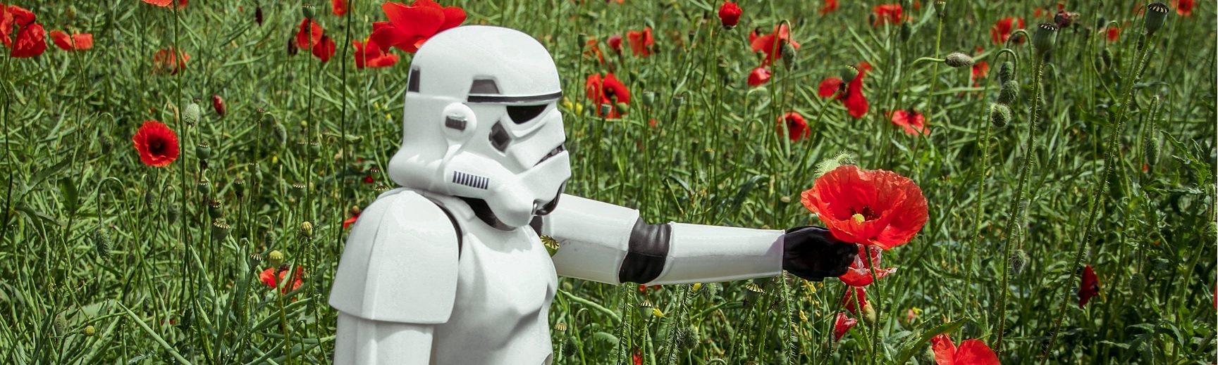 Cross-Stream Themes | DTP in Environmental Research