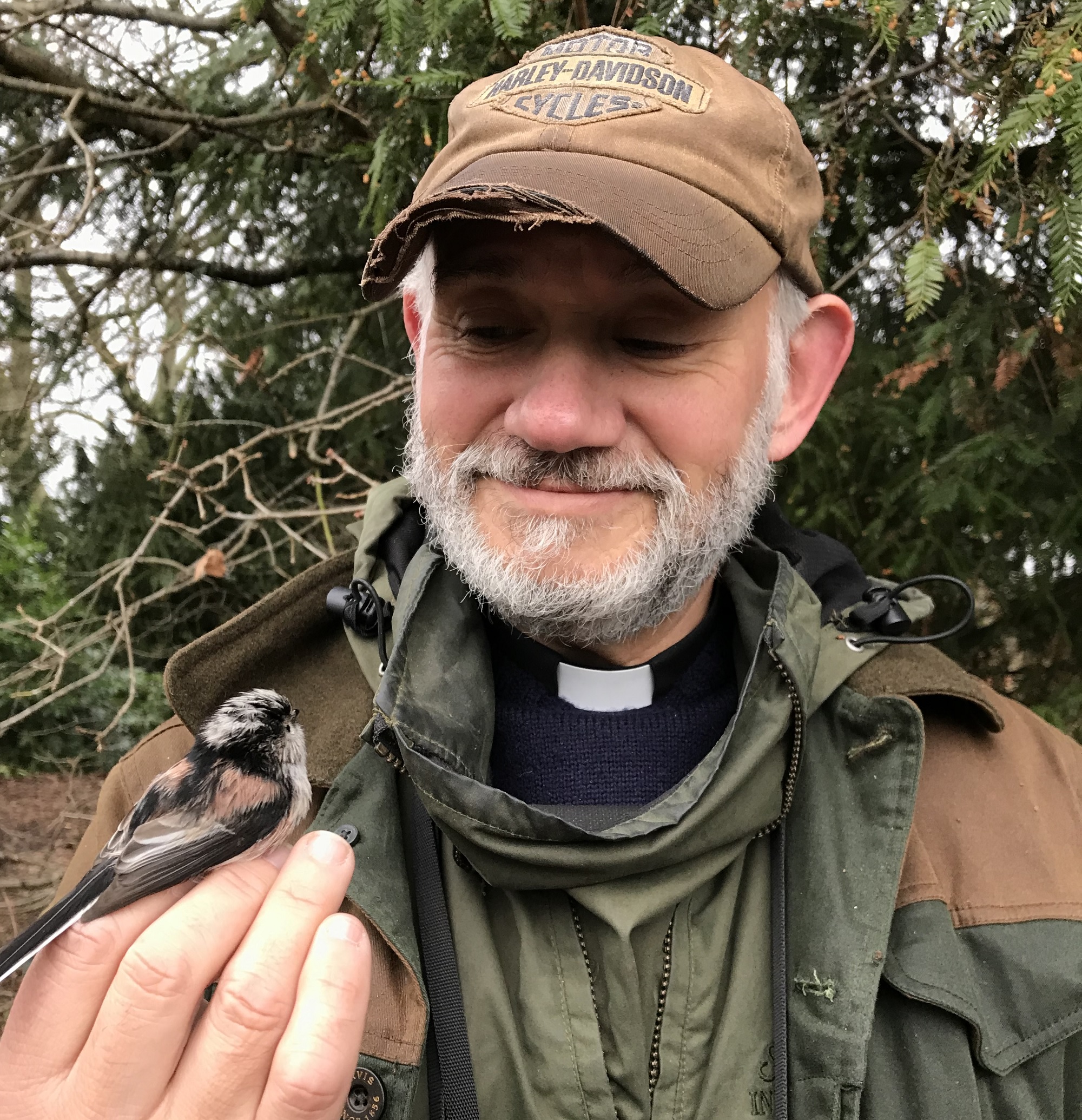 Andy Gosler | DTP in Environmental Research