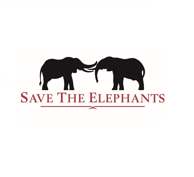 Save the Elephants | DTP in Environmental Research