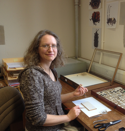 Ceri Watkins | DTP in Environmental Research