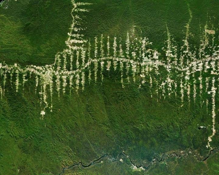 Spatial planning for nature and for infrastructure | DTP in ...