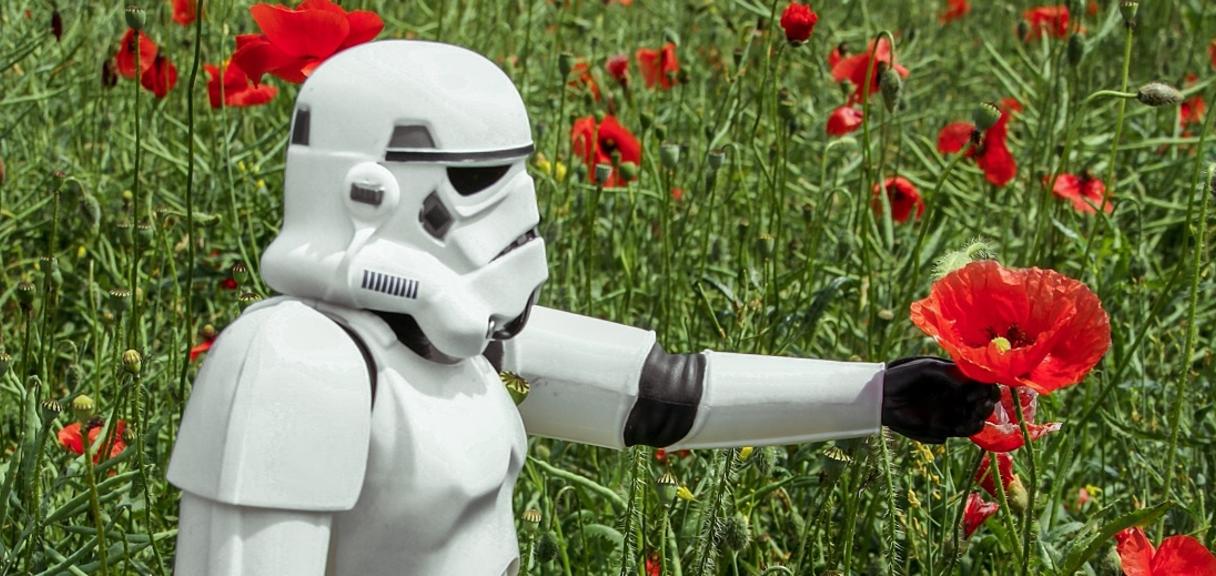 Cross-Stream Themes | DTP in Environmental Research