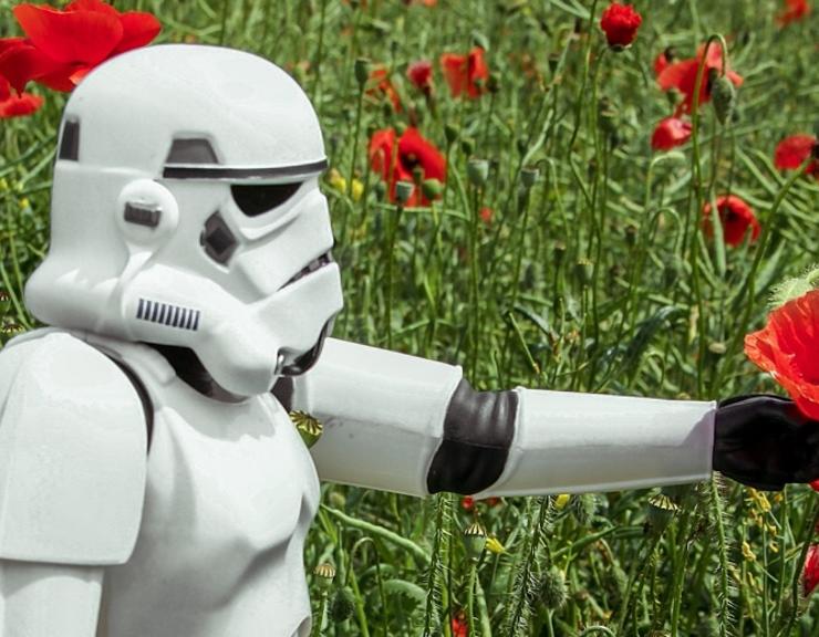 Cross-Stream Themes | DTP in Environmental Research