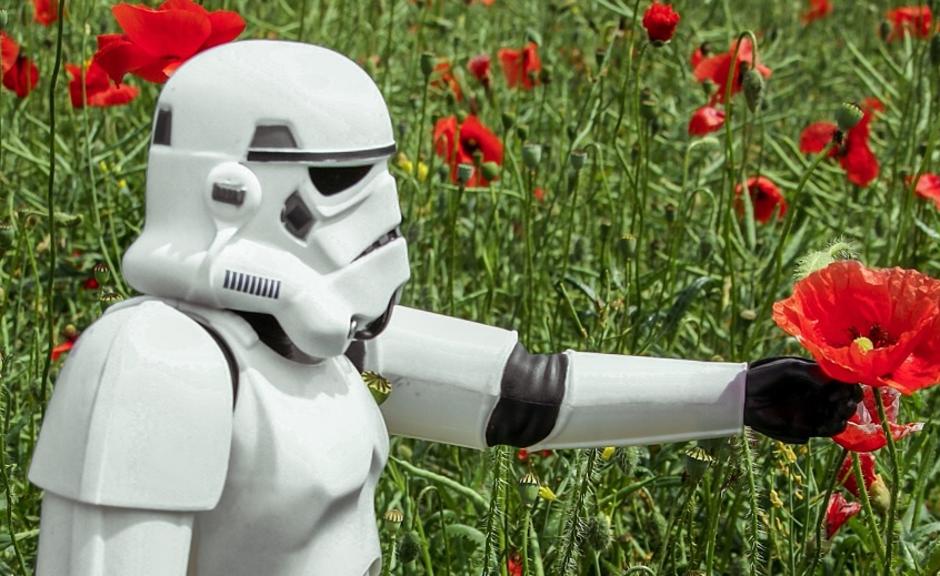 Cross-Stream Themes | DTP in Environmental Research